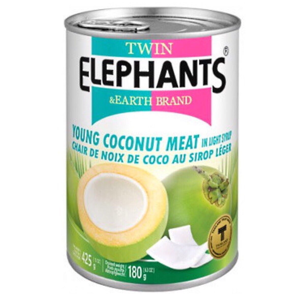 Twin Elephants Young Coconut Meat in Syrup (Sliced) 425g – Asian Online ...